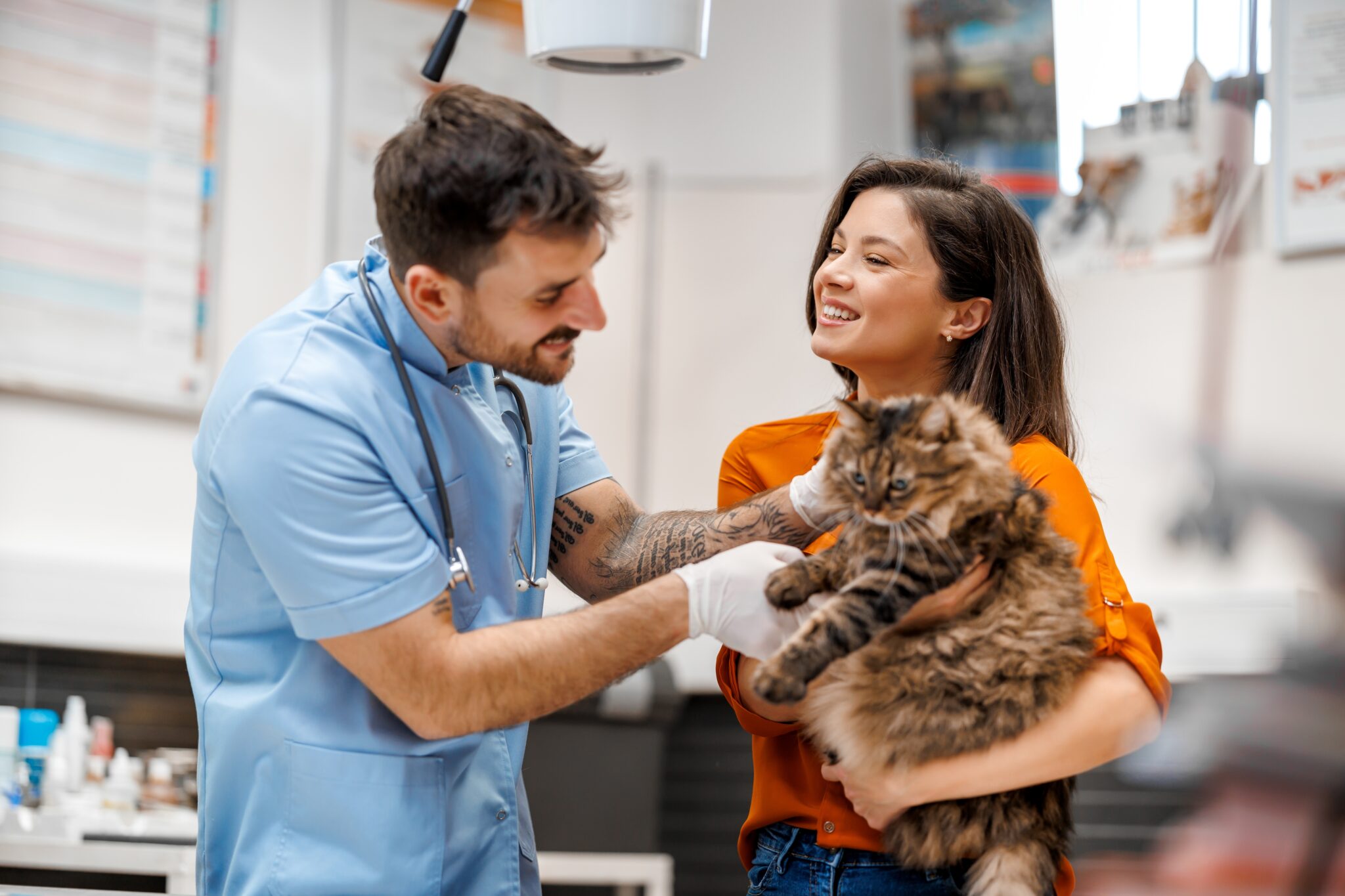 Veterinarian North Palm Beach | Animal Hospital North Palm