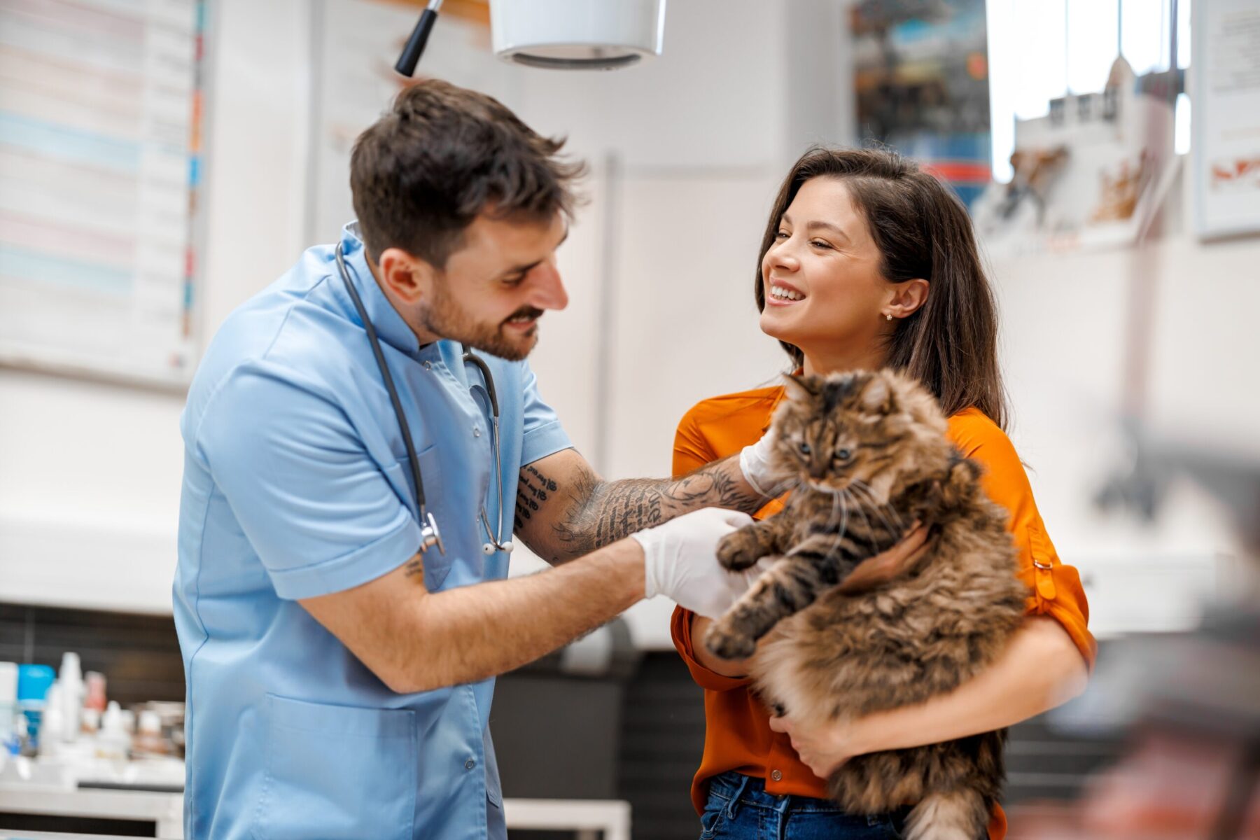 Veterinary Care Services in North Palm Beach, FL